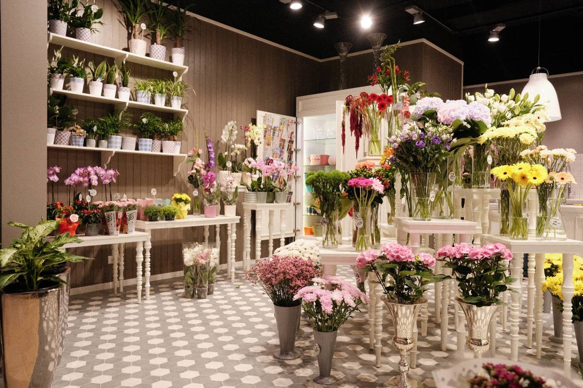 Solaris flower store | Solaris