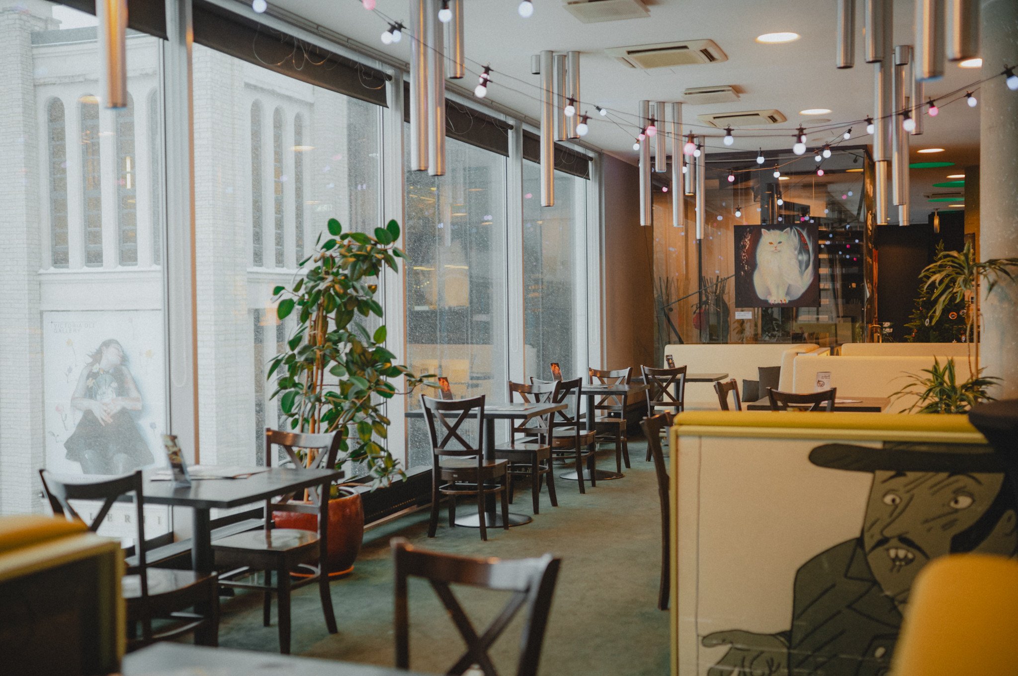 Cafes & Restaurants | Solaris